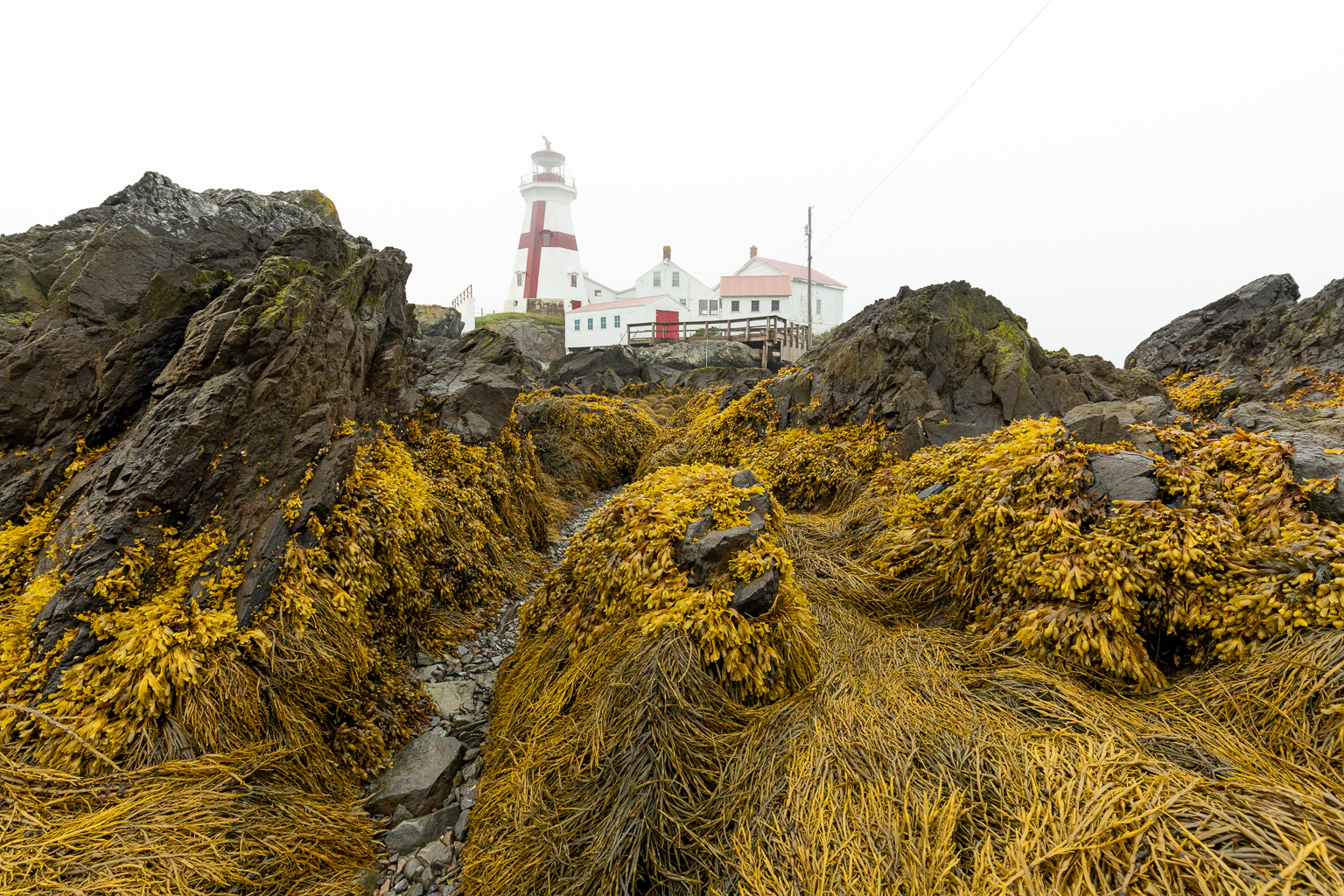Head Harbour Lighthouse Trail